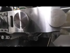 μηχανή ενθυλάκωσης 7rpm Ss316 Softgel για το πετρέλαιο