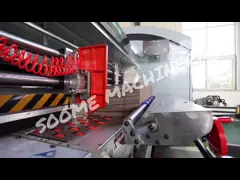 Detailed Video.mp4