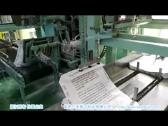 automatic valve bag packing and palletizing line