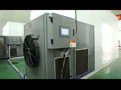 Fruit and vegetable drying machine