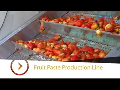 380V SS304 60 Ton/D 1500 T/D Tomato Processing Line