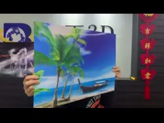 40x60cm Lenticular 3D Picture Water Resistant Printed Souvenir