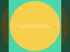 Dustproof Huawei Ethernet Switch High Flexibility For Business