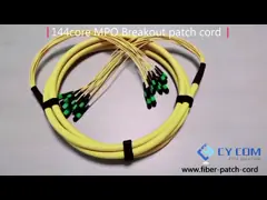China 12 Core Bundle Pigtail Fiber Optic Patch Cord 1 Meter Customized Length FTTH Fiber Optic Jumper for sale