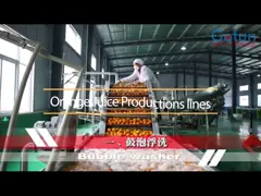 Agriculture Technology - Automatic Munti-function Citrus Juice Processing Plant