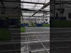 growing bed
