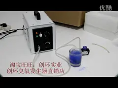 Corona Discharge 3-5g Kitchen Ozone Generator For Water Treatment