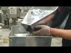 Hydraulic oil press Pine nuts cold and hot oil press machine