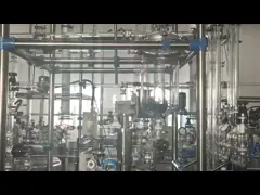 CHEMICAL GLASS REACTOR