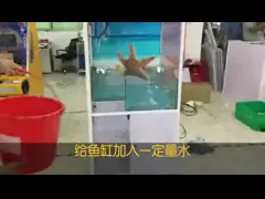 La macchina per versare i frutti di mare in linea