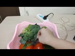 Water Treatment Household Ozone Generator Electrical Portable