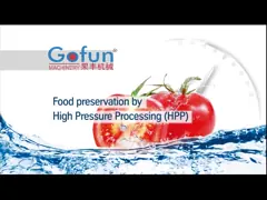 High-Technology High Pressure Processing Machine
