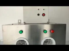 3 - 6G/Hr Wall Mounted Ozone Generator For Food Cold Storage