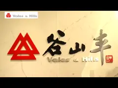 Company Overview - VALES & HILLS Biomedical Tech. Ltd.1 (1).mp4