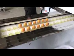 apricot pitting and cutting