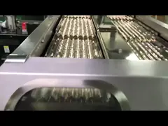 기계 생산 라인을 세는 16 차선 가득 차있는 자동적인 알약 캡슐 정제