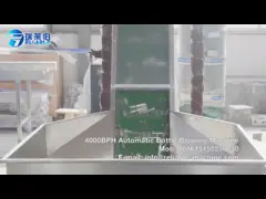 4000BPH Bottle Blowing Machine