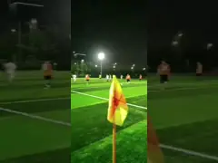 LED照明でスタジアム 화면화