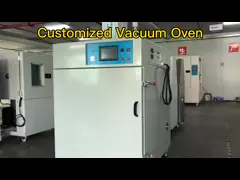 Resistenza alla ruggine del forno 220V dell'essiccazione sotto vuoto di PID del microcomputer di Coustomized