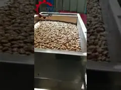 Almond microwave ripening drying machine