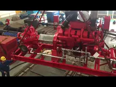 Diesel Engine Driven Split Case Pump