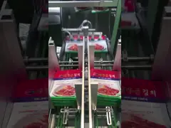 High speed bag filling and packing machine