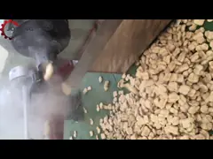 Soya Protein Chunks Mince Making Machine