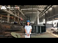 China Customized Developed 650º C High Temperature Fan For Waste Heat Boiler Project for sale