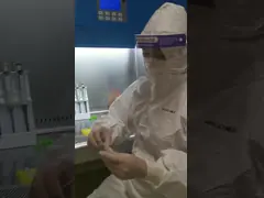 Oral Nasal Swab with Breakpoint for Virus Sample Collection