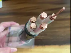 Cable