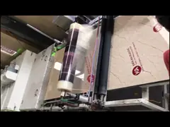 transparent protection film