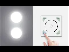 Commutatore astuto di Tuya Zigbee della casa di Alexa Google Smart Switch Panel