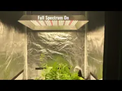 Quantum320 led grow light 3channel