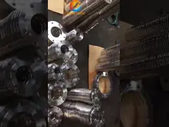 Hastelloy flange