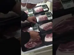 Tray Skin Packaging Sealing Machine Semi Auto Floor Type