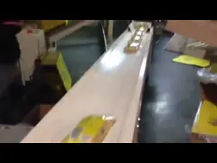 Synchrone die Riem het Palletiseren Robots in Voedselindustrie worden gebruikt