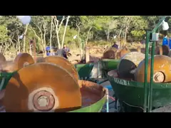 China Gold Process Plant Sudan Gold Washing Pan Round Mill Machine for sale