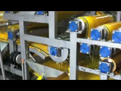 Tipo estrattore della cinghia della polpa della frutta di Juicing 8r/Min SUS304