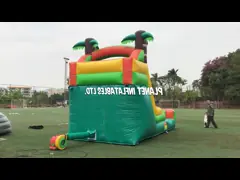 PVC Tarpaulin Inflatable Water Slides  Puncture Proof With Pool Outdoor