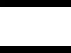 Ecer Departamento de compras de compradores extranjeros Video de introducción