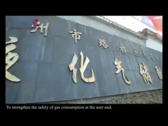 Casting Steel ATEX Unloading Cylinder Conveyor Chain
