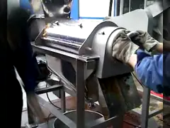 China Full Automatic Fruit Juicer Production Line Stainless Steel SUS304 for sale