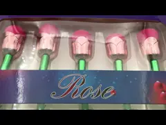 Makeup brush13