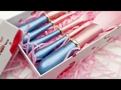 Makeup brush (1)