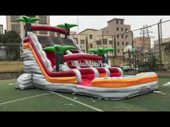 China Palm Tree Double Lane 18Oz Inflatable Water Games Slide for sale