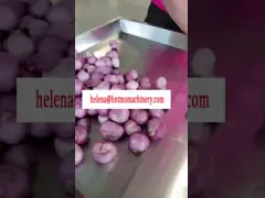 onion slicing machine, onion cutting machine