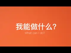 T2 Mini