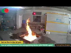 Declaração do dispositivo de combustão no teto FM200