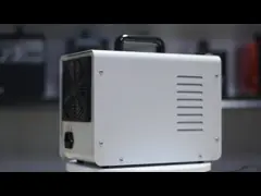 Durable Commercial Ozone Generator Anti Bacteria Viruses 80W 10LPM