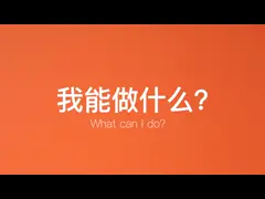 T2 Lite